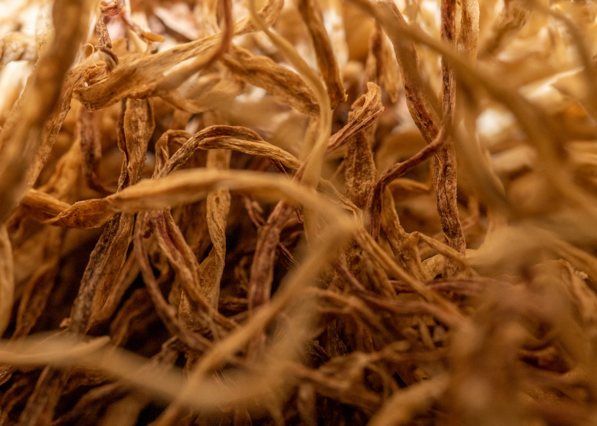Ashwagandha KSM-66 : bienfaits, dosage et pourquoi la forme brevetée c ...